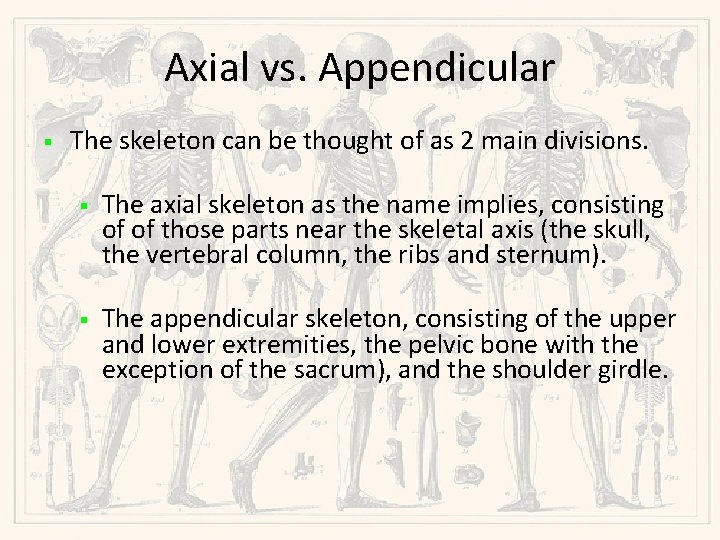 Skeletal System IB Sport Exercise and Health Science