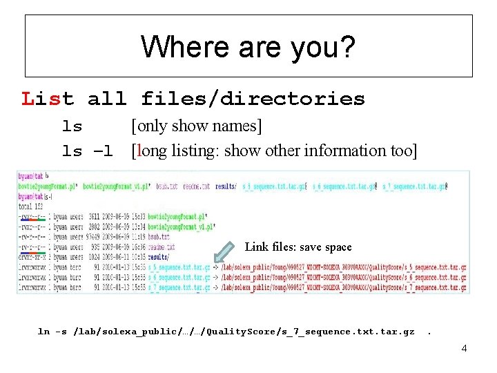 Introduction to Unix most importantuseful commands examples Bingbing