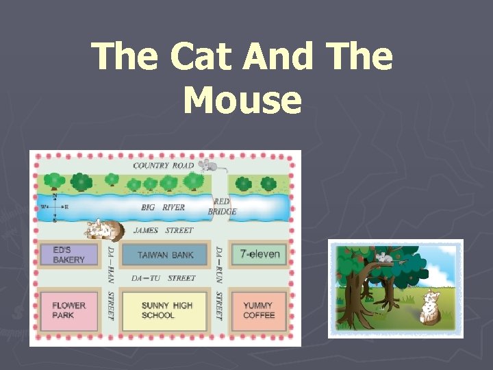 Lesson 7 Reading vocabulary review The Cat And