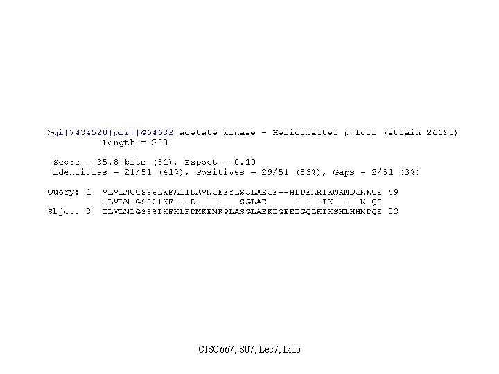CISC 667 Intro to Bioinformatics Spring 2007 Sequence