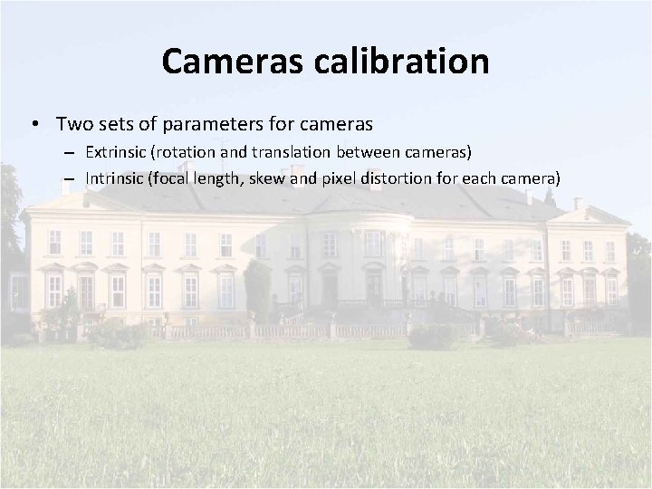 Fish position determination in 3 D space by