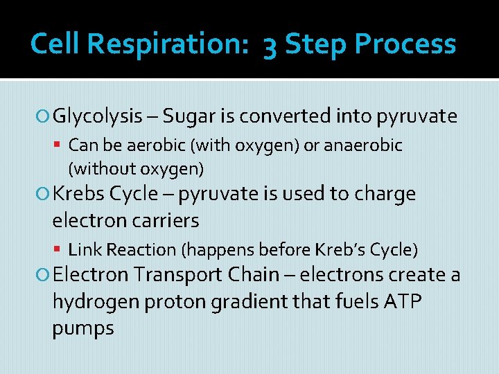 Mrs Ragsdale Biology SLHL Chapter 8 Topic 8