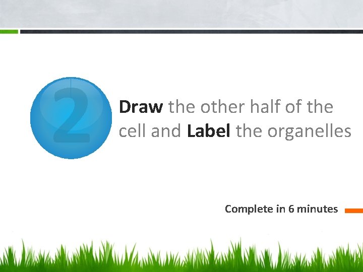 October 16 th introducing the Cell Cycle Todays