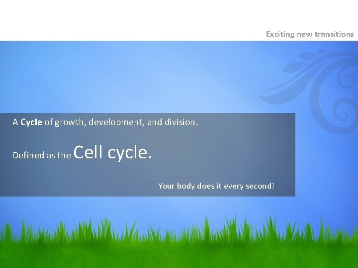 October 16 th introducing the Cell Cycle Todays