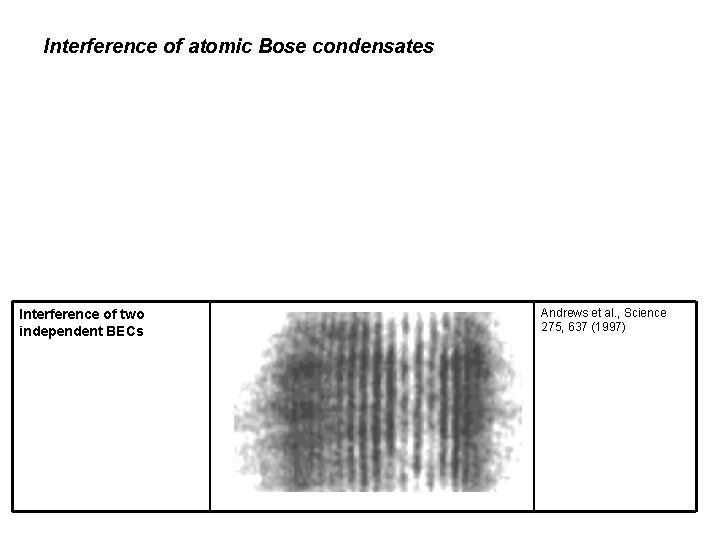 Interference Of Two Molecular Boseeinstein Condensates Christoph Kohstall
