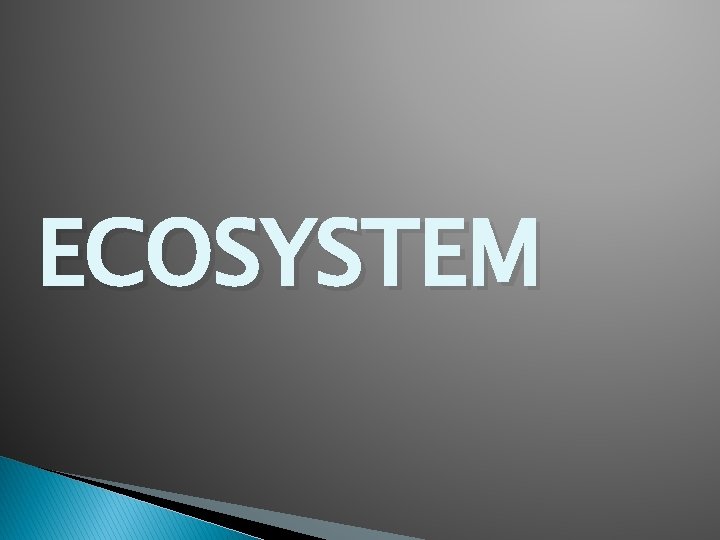 Environmental Science Vocabulary A group of organisms of