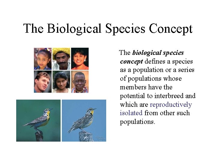 The Origin of Species Chapter 16 Botany 4