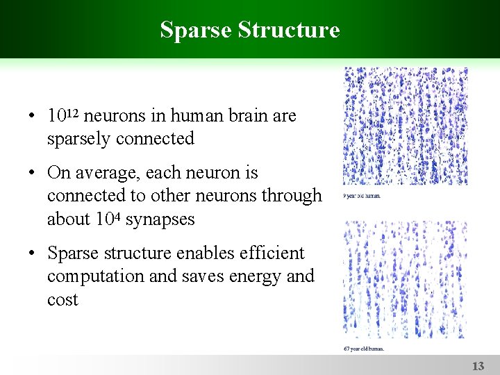 Hybrid Pipeline Structure for Self Organizing Learning Array