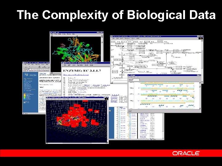 The Integration of Biological Data Using Semantic Web