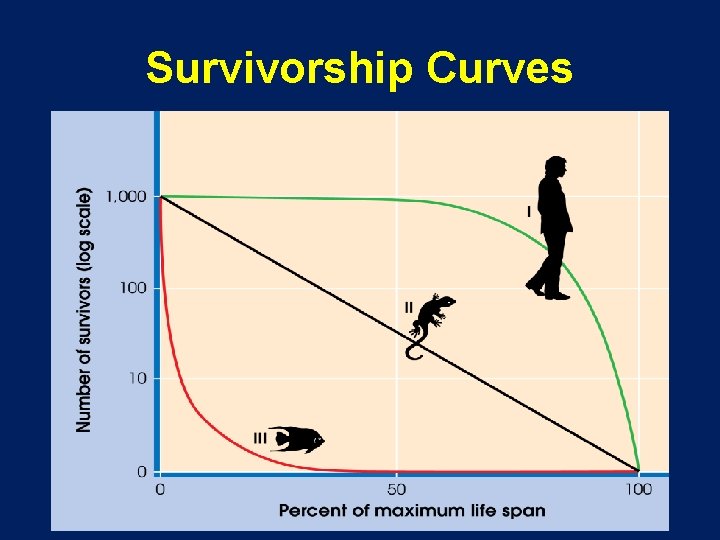 Population Dynamics A little vocabulary Ecology the study