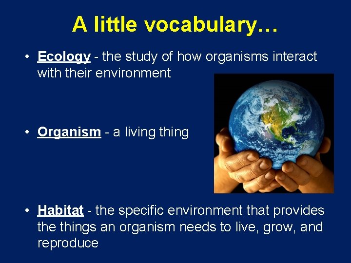 Population Dynamics A little vocabulary Ecology the study