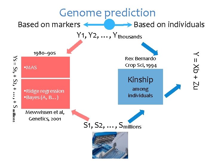 Statistical Genomics Lecture 29 BLUP Alphabet Zhiwu Zhang