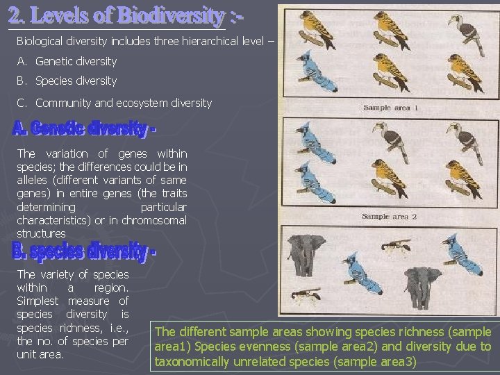 1 Introduction and Magnitude of Biodiversity 2 Levels