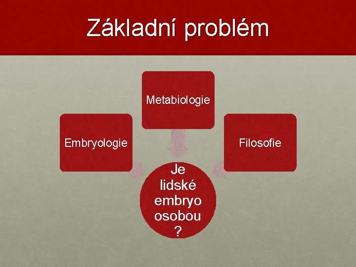 Kdo je lidsk embryo David ern 1 LF