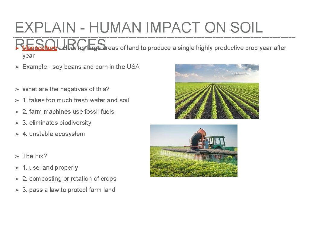 HUMAN IMPACT Big Q How have human activities