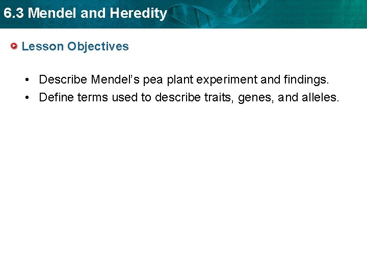 Biology Unit Four A Mendelian Genetics Mrs Pearsons