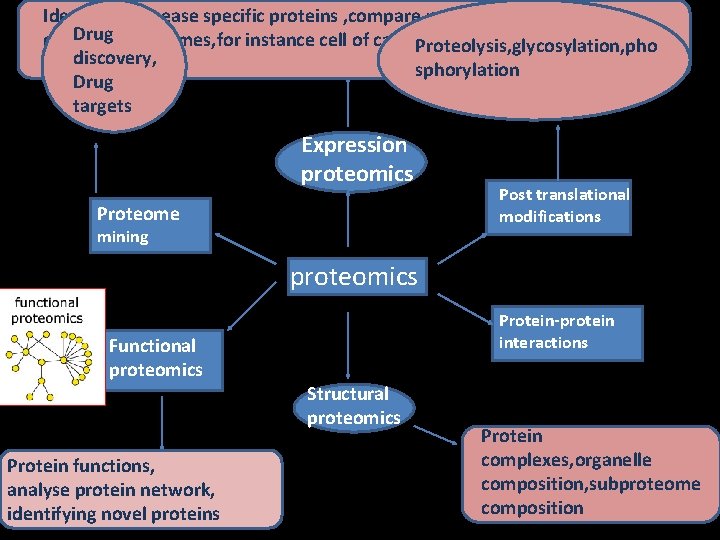 proteomics By RC 7801 A 27 HISTORY The