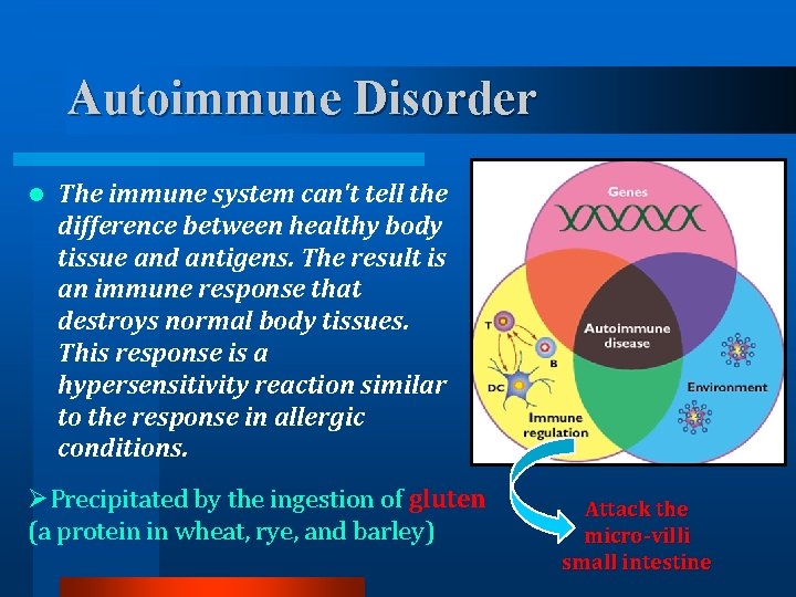 Celiac Disease Presented by Nelda Mercer MS RD