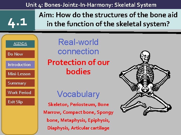 Unit 4 BonesJointzInHarmony Skeletal System 4 1 AGENDA