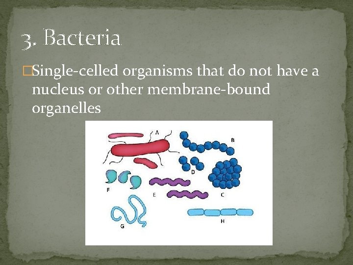 Unit C Cell Biology and Disease Vocabulary 1