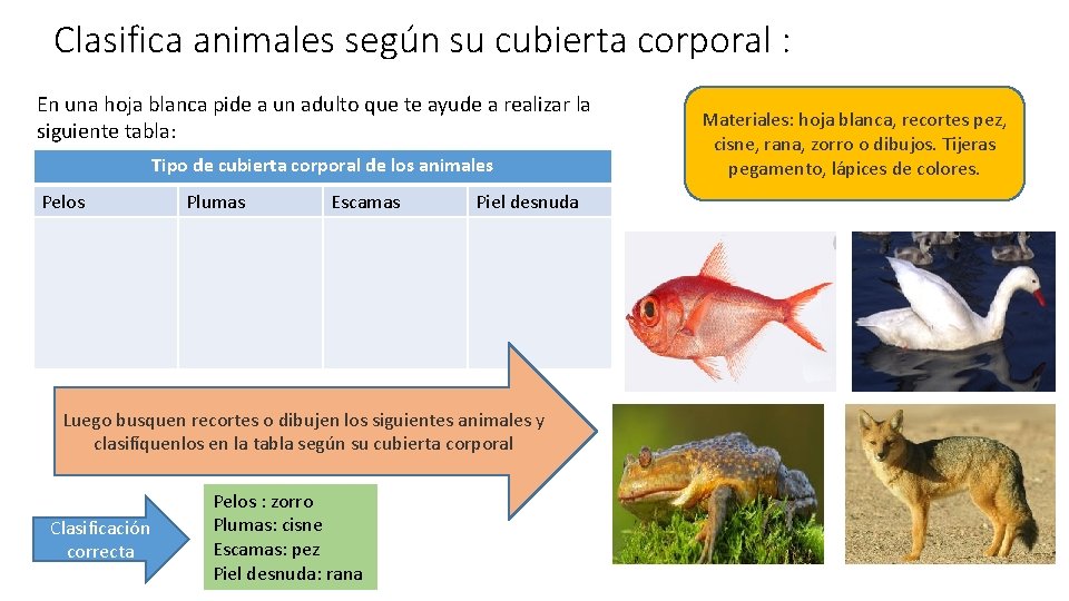 Ciencias Naturales Primero bsico Caractersticas de los animales