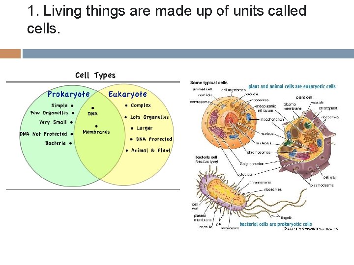 CHAPTER 1 THE SCIENCE OF BIOLOGY Lesson 2
