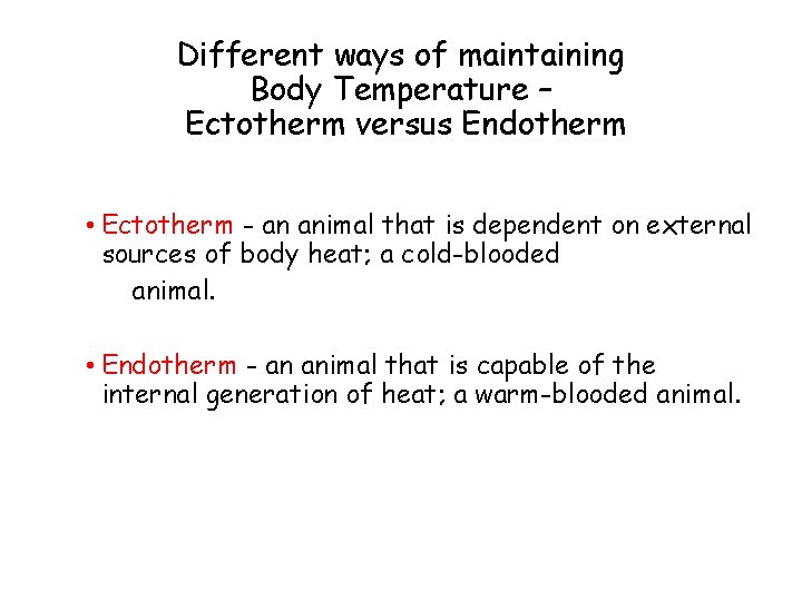 Vertebrate Animals What is a Vertebrate A vertebrate