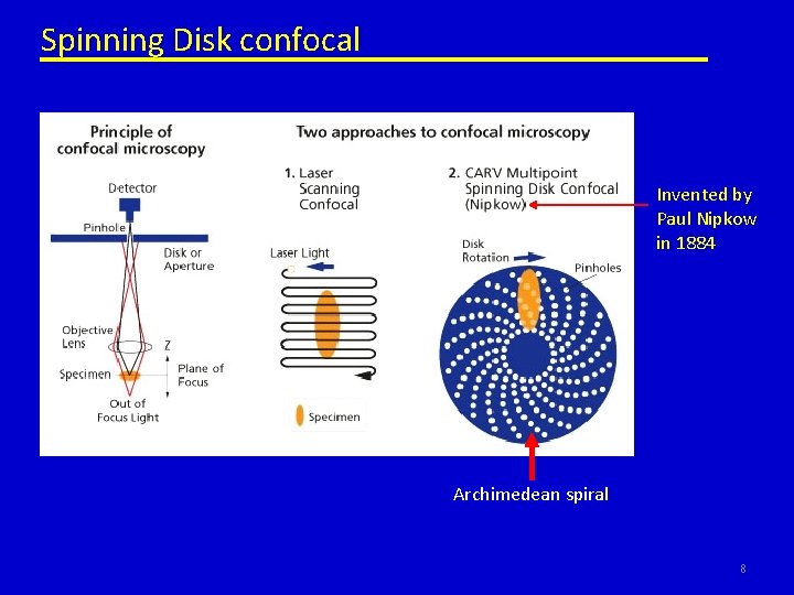 Confocal Microscopy LSCM Advantages Better resolution Optical sectioning