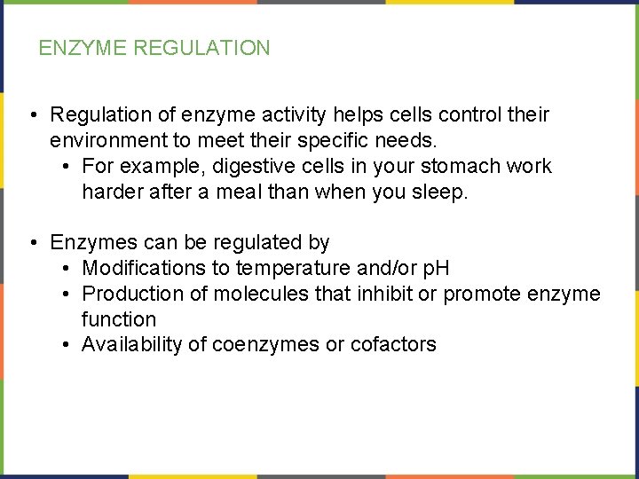 BIOLOGY 2 E Chapter 6 METABOLISM Power Point