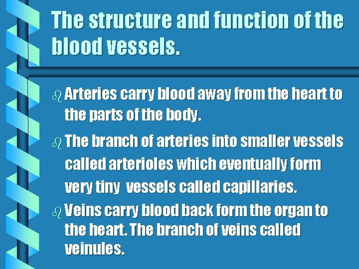 Heart The Structure and composition of mammalian blood