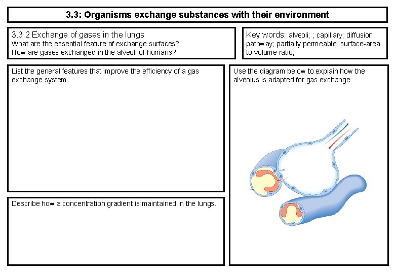 3 3 Organisms exchange substances with their environment