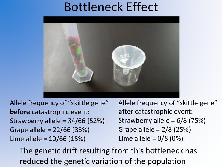 Mechanisms of Evolution and Speciation Objectives Recognize mutation