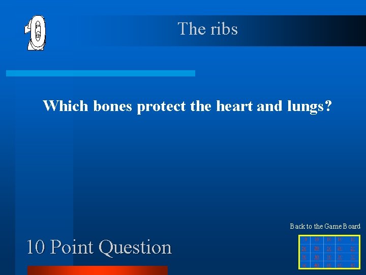 Jeopardy Start Skeleton Bones Muscles Joints Other 10