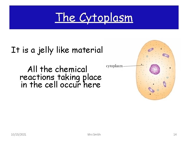 National 5 Biology Unit 1 Cell Biology Chapter