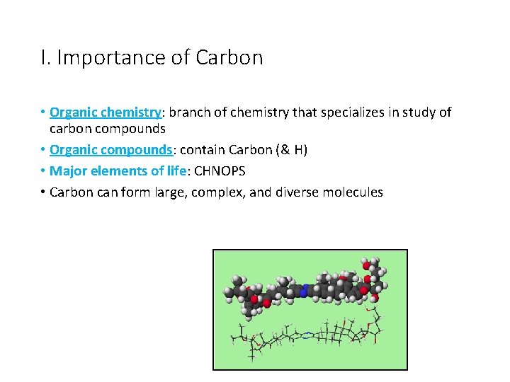 Chapter 4 Carbon and the Molecular Diversity of