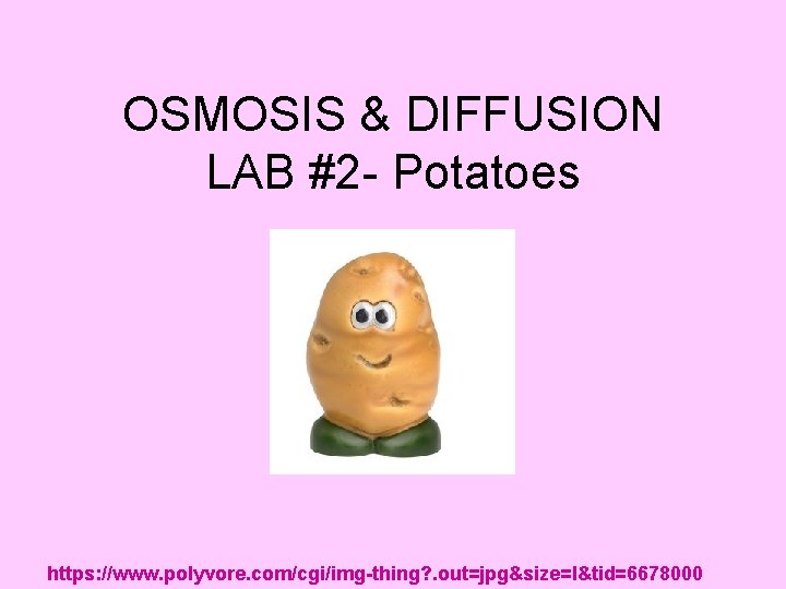 AP BIOLOGY Osmosis Diffusion Labs Slide show by