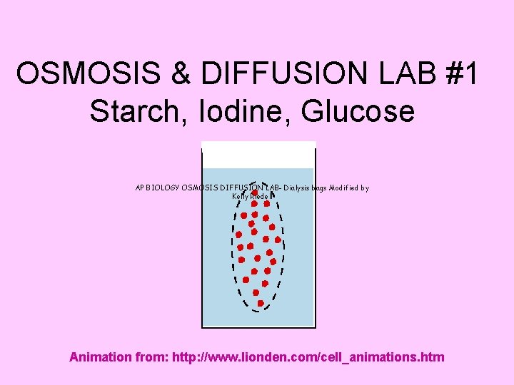 AP BIOLOGY Osmosis Diffusion Labs Slide show by