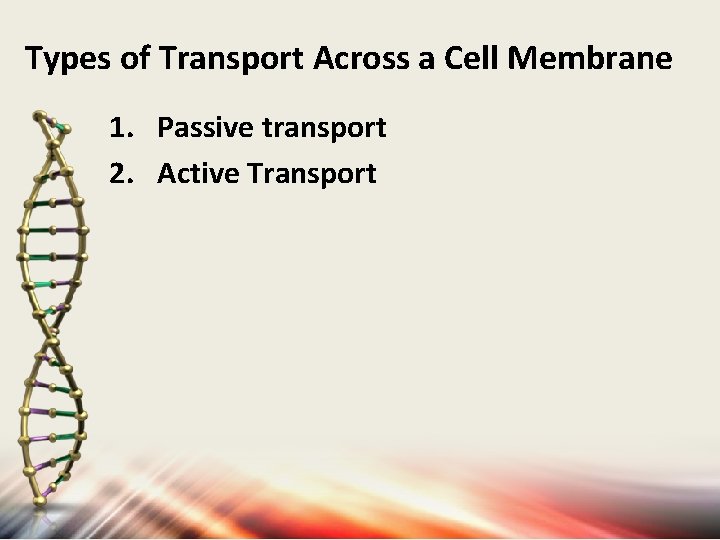 Cell Boundaries Objectives 2 0 Describe cell processes