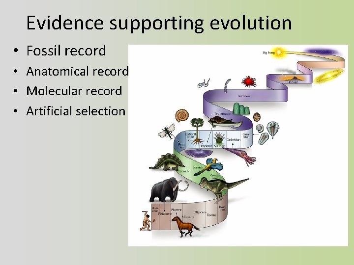 Evidence of Evolution by Natural Selection Ch 22