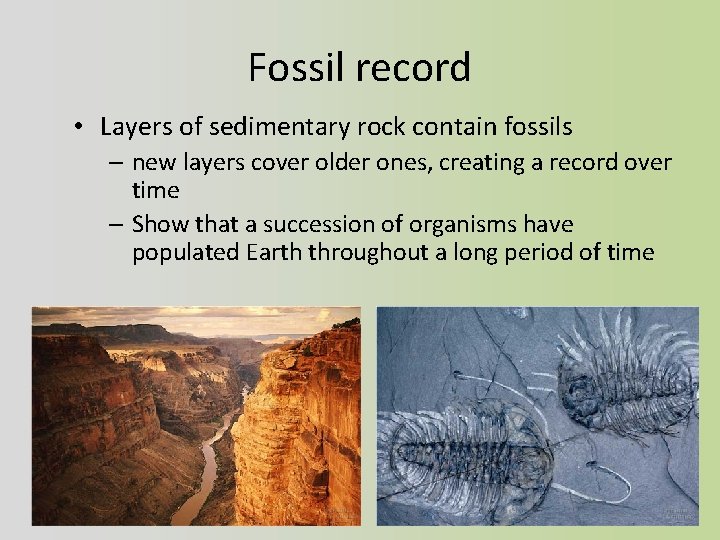 Evidence of Evolution by Natural Selection Ch 22