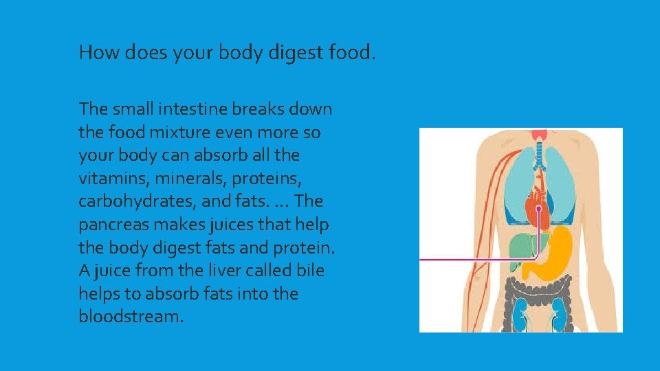 HUMAN DIGESTIVE SYSTEM By Stephanie Stage 1 The