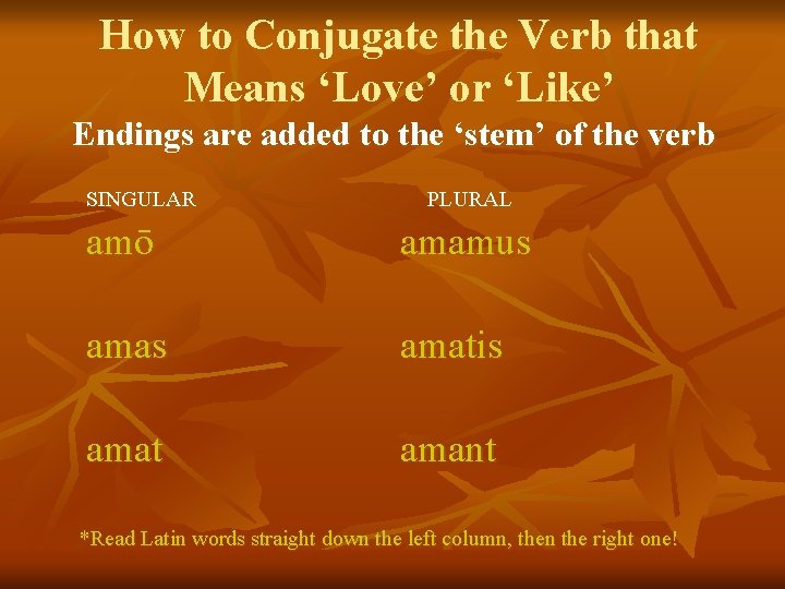 Chapter 3 Grammar VERBS What Do I Need