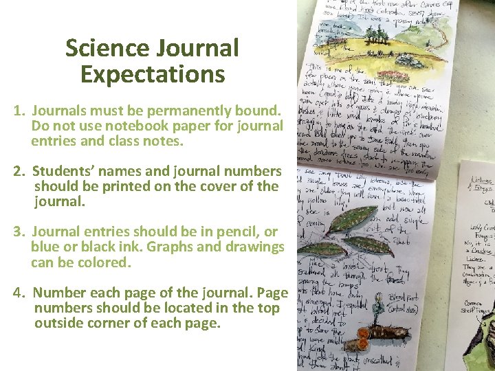 Lesson 1 Science Journals and Lab Notebooks Science