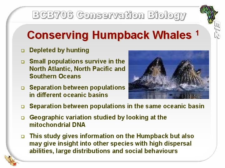 Conservation Genetics l l Sam Hopkins Biodiversity and