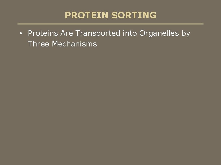 Fundamentals of Biological Sciences Lecture 4 Dr Aelya