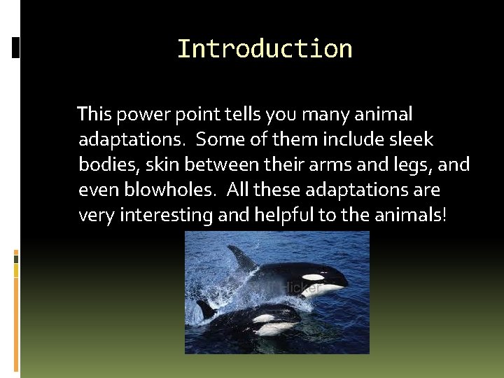 Unusual Adaptations BY DEVIN CHRISTIAN LANDON AND ZANE