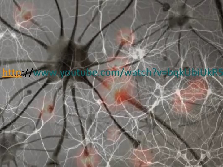 How Does Attention Regulate Competition Between Competing Visual