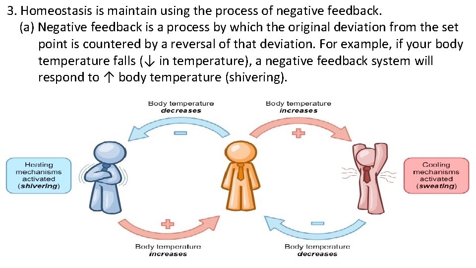 Body Organization 1 1 Introduction A Anatomy the