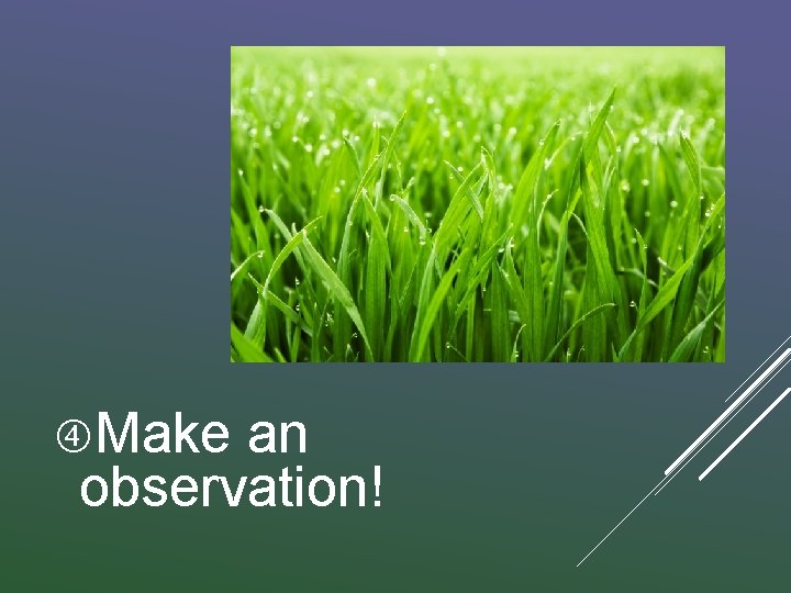 REGENTS EARTH SCIENCE Observations Measurements and Change I