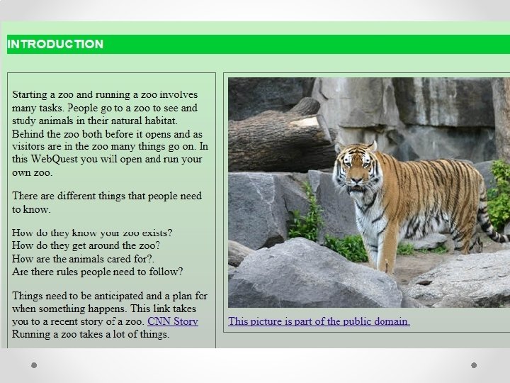 We Bought a Zoo Webquest 1 Choose a